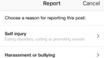 How to report fake news to social media | StopFake